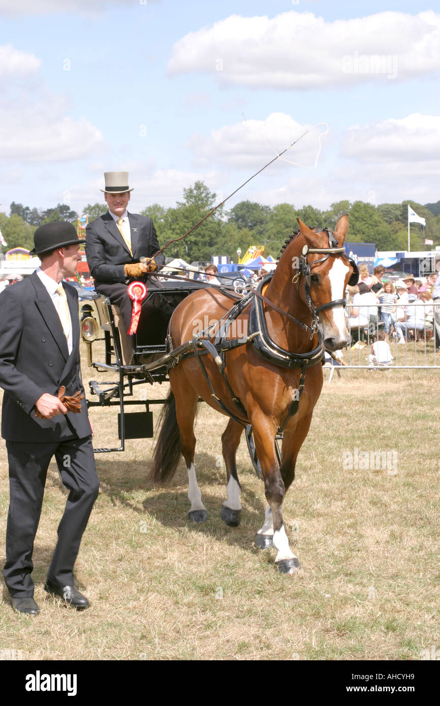 The Cranleigh Show August 2006 Stock Photo - Alamy