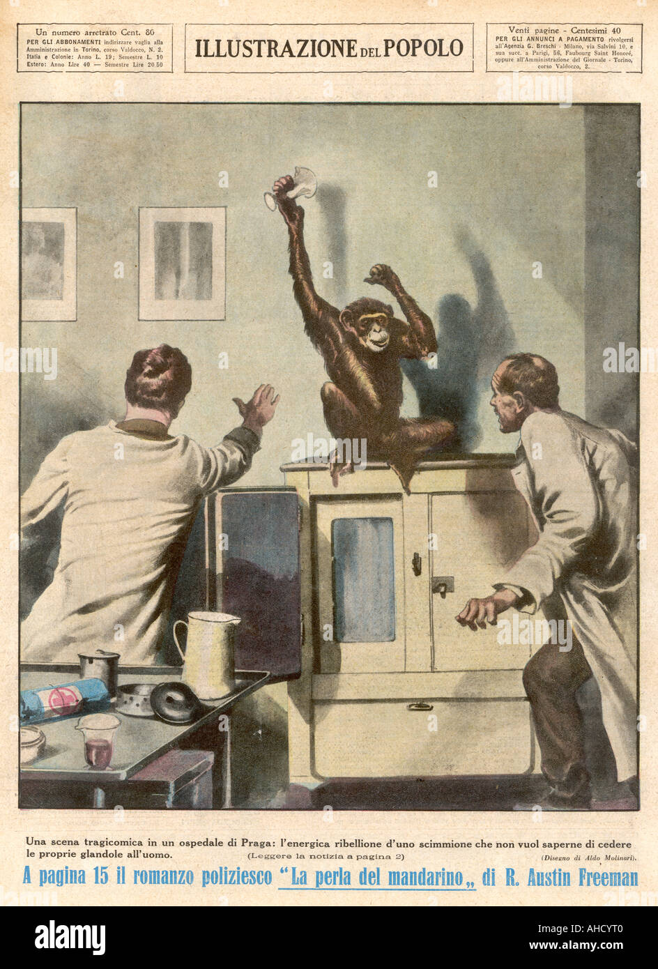 Monkey experiment hi-res stock photography and images - Alamy