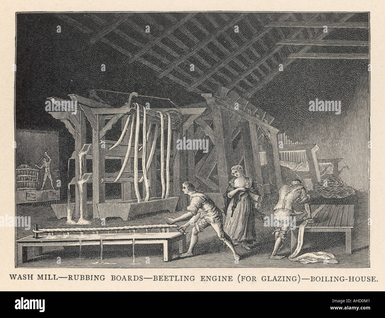 Beetling hi-res stock photography and images - Alamy