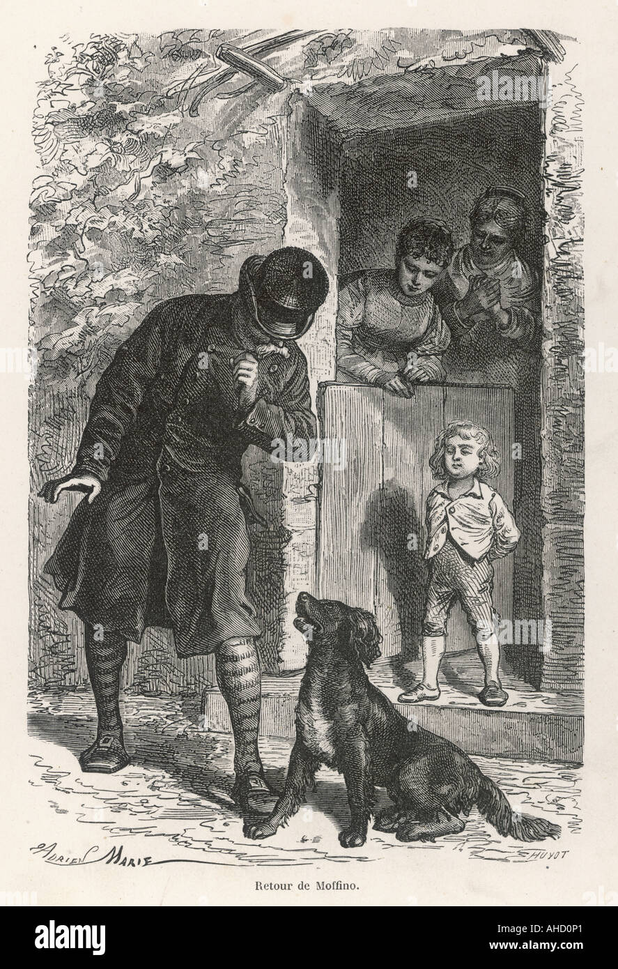 Dog Finds Way Home Stock Photo - Alamy