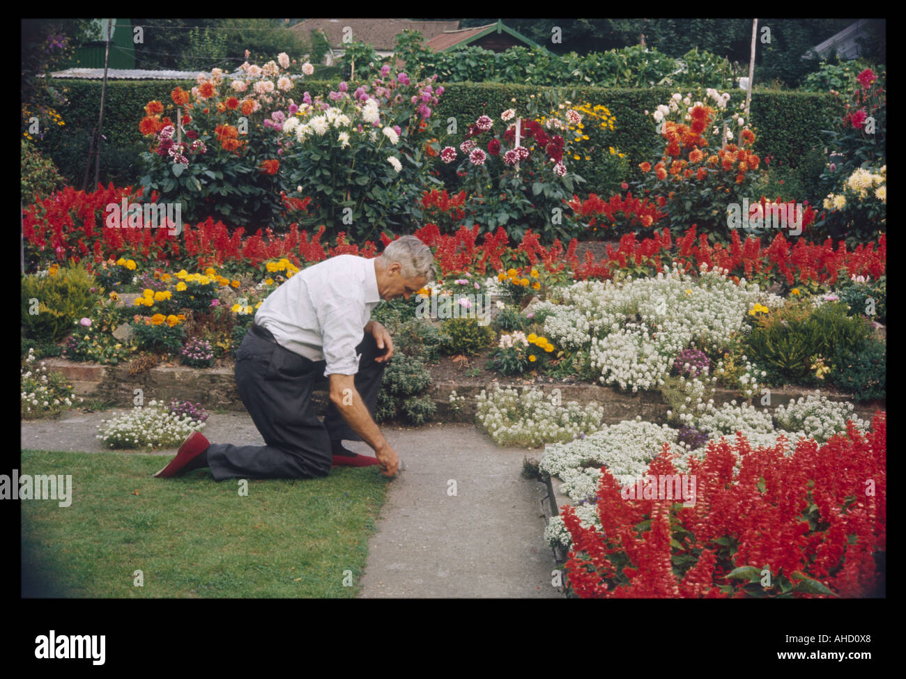 Tending border hi-res stock photography and images - Alamy