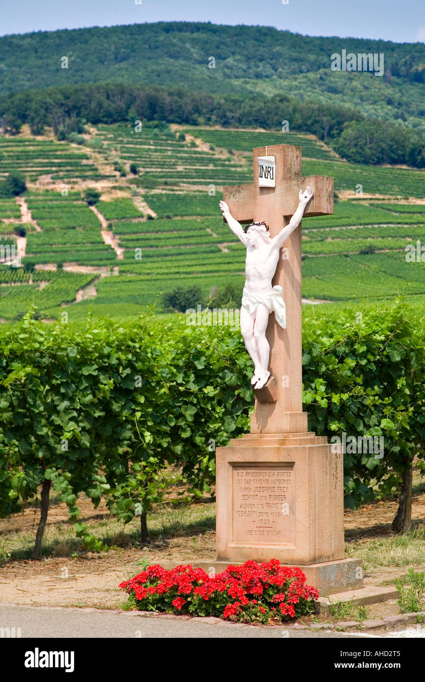 Jesus in the vineyard Stock Photo - Alamy