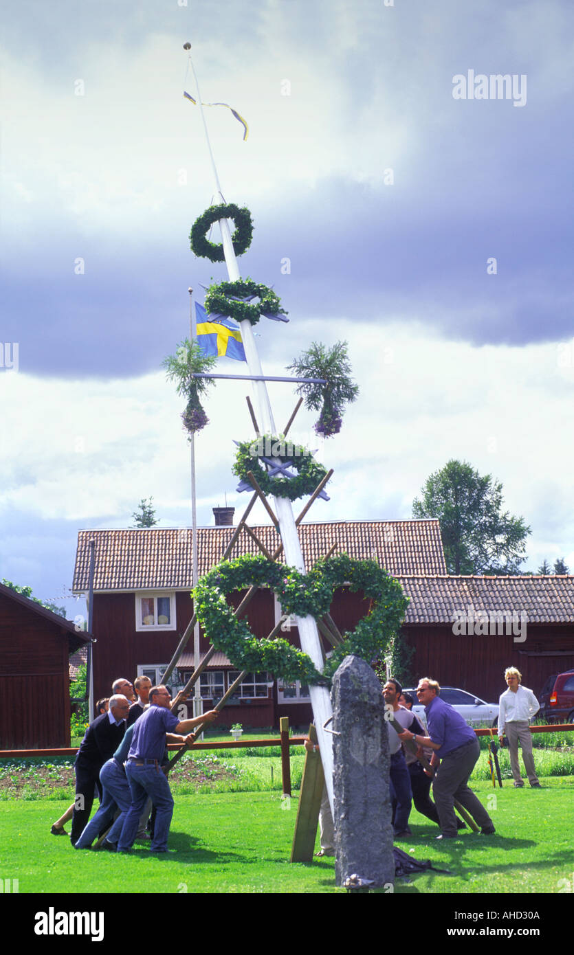 SWEDEN DALARNA RAISING MAYPOLE ON MIDSUMMERS DAY Stock Photo - Alamy