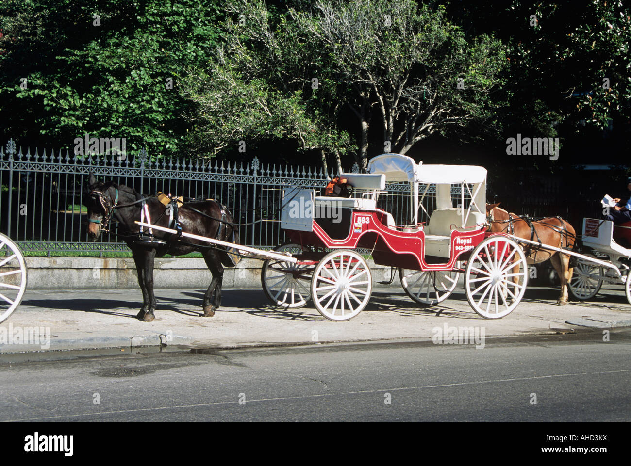 Horse and carriage outside Jackson Square, Decatur Street, French ...