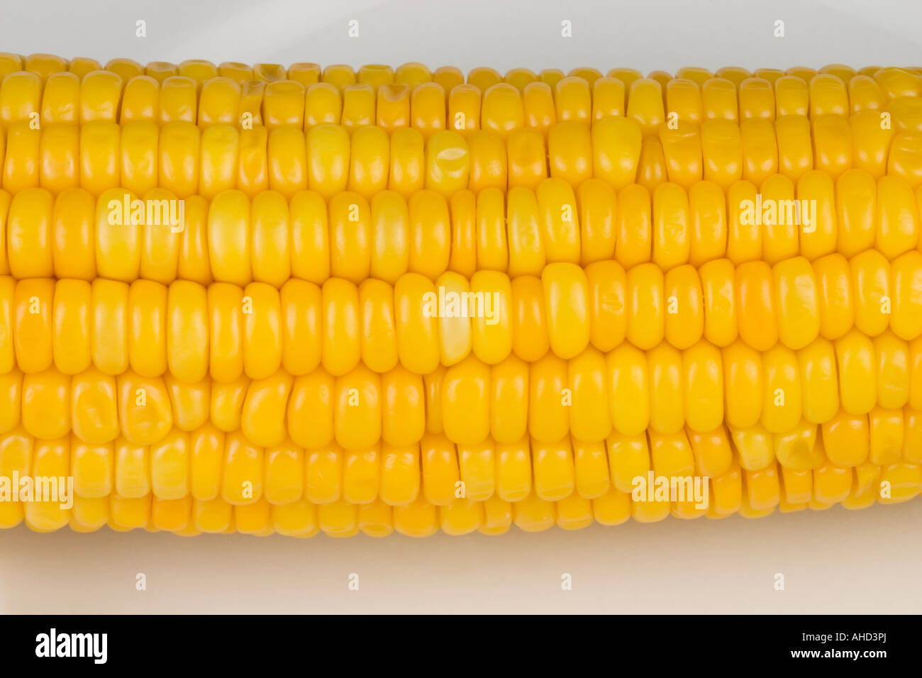 Indian sweet corn hi-res stock photography and images - Alamy
