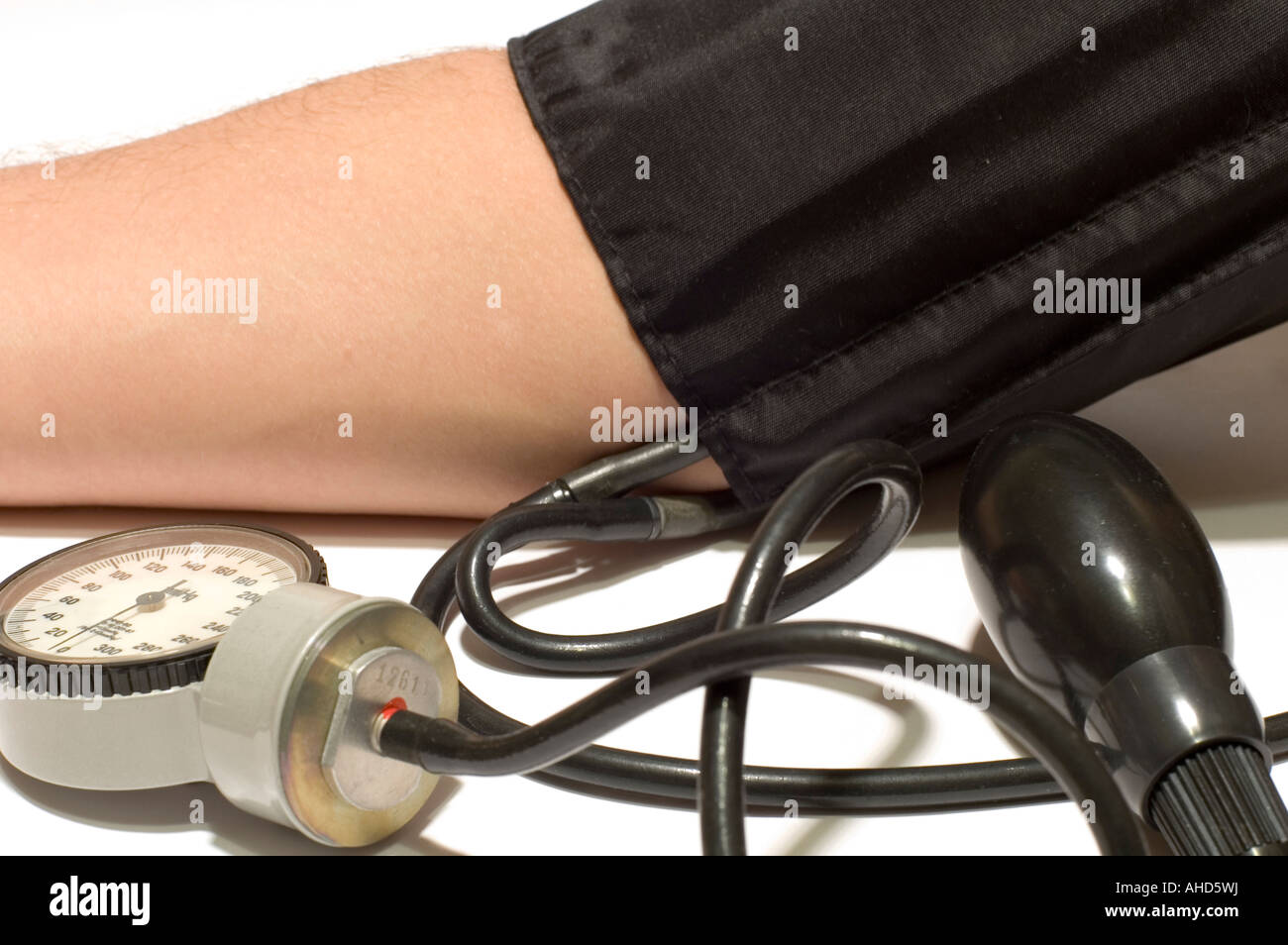series object on white isolated Body parts Stock Photo - Alamy