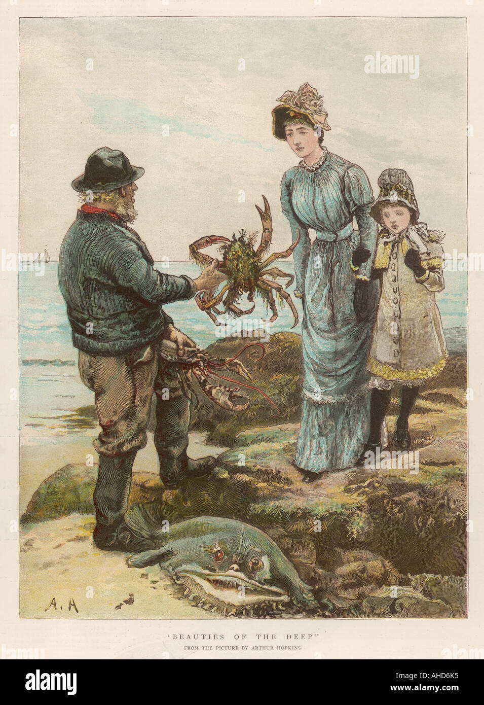 Crab 1882 hi-res stock photography and images - Alamy