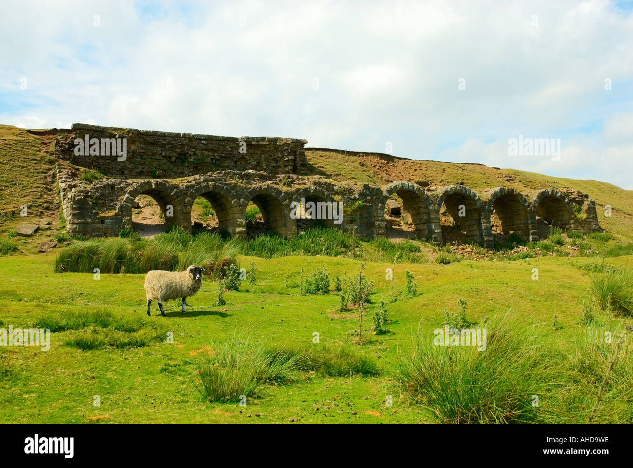 Stone arch remains of kilns from the iron industry on Rosedale Moor ...