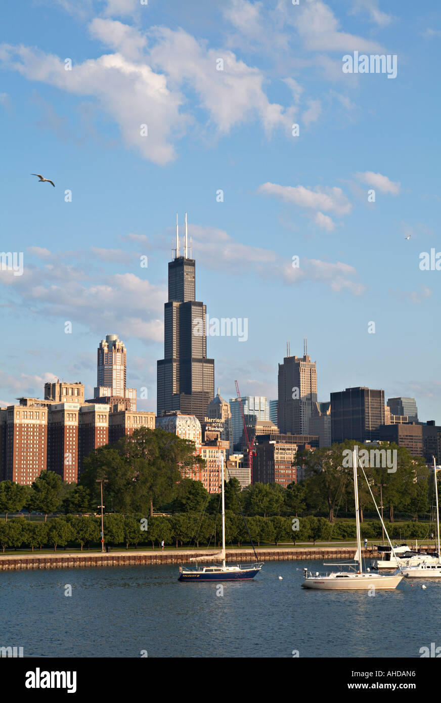 ILLINOIS Chicago Sears Tower and skyline sailboats in harbor Lake ...