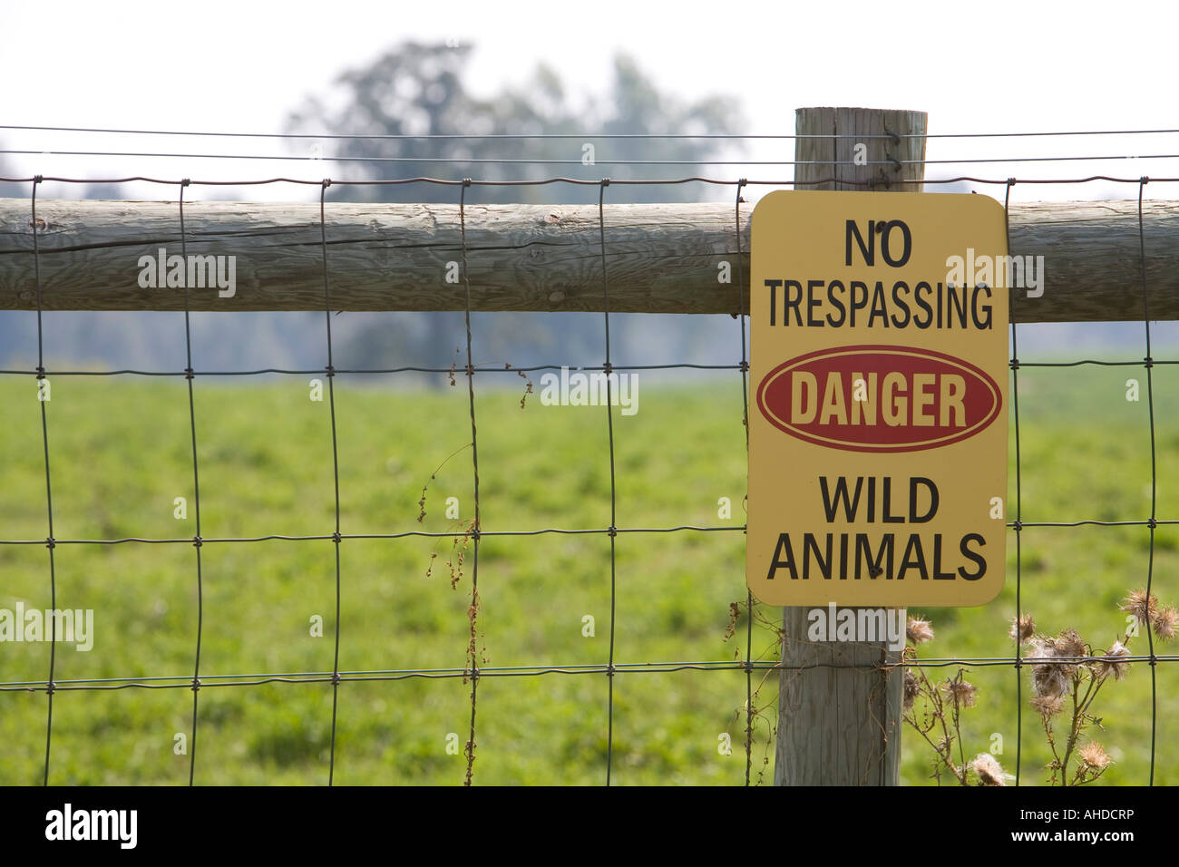 Danger sign wild animals hi-res stock photography and images - Alamy