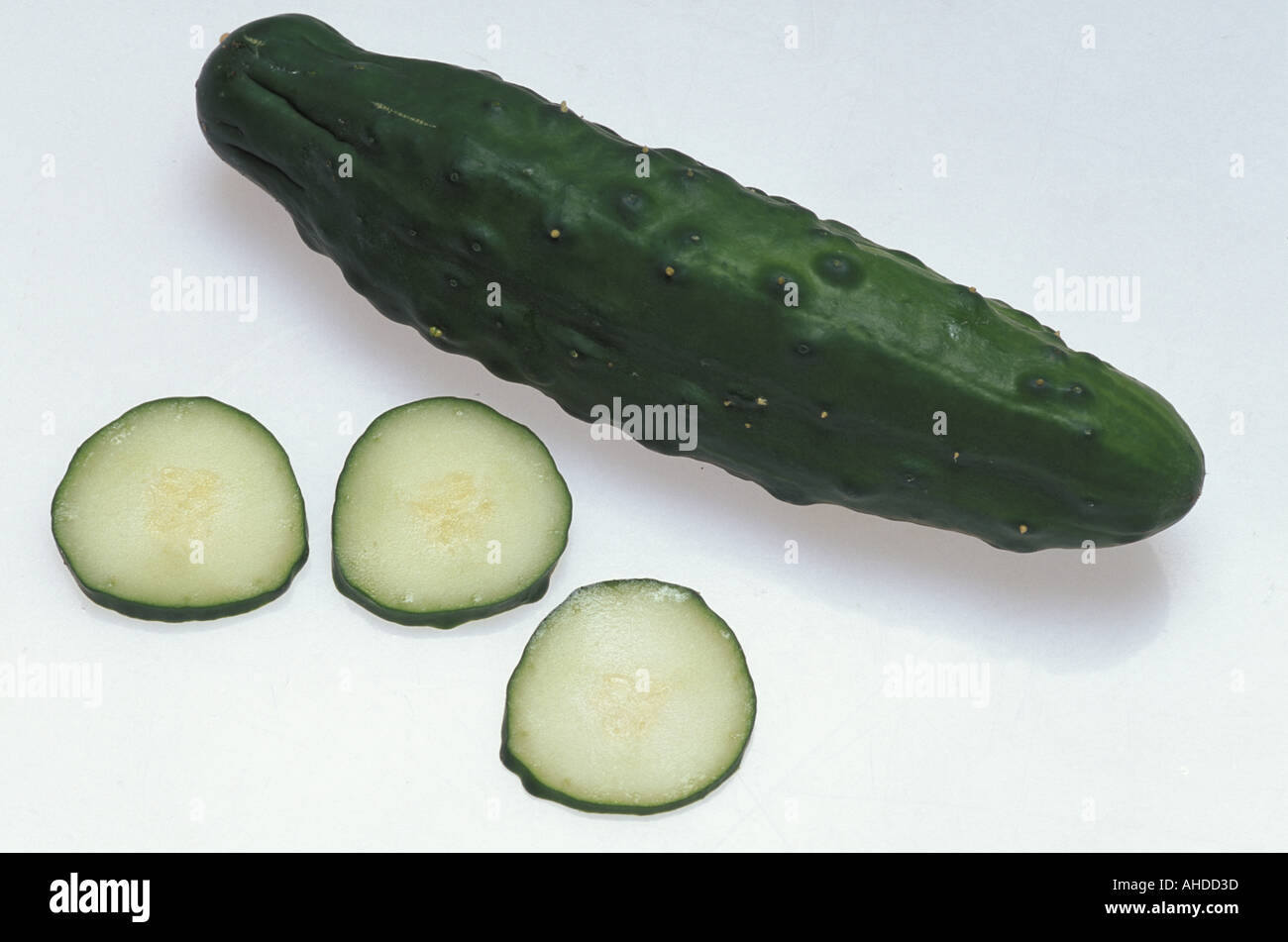 Cucumis Sativus Cucumber Italy Stock Photo - Alamy