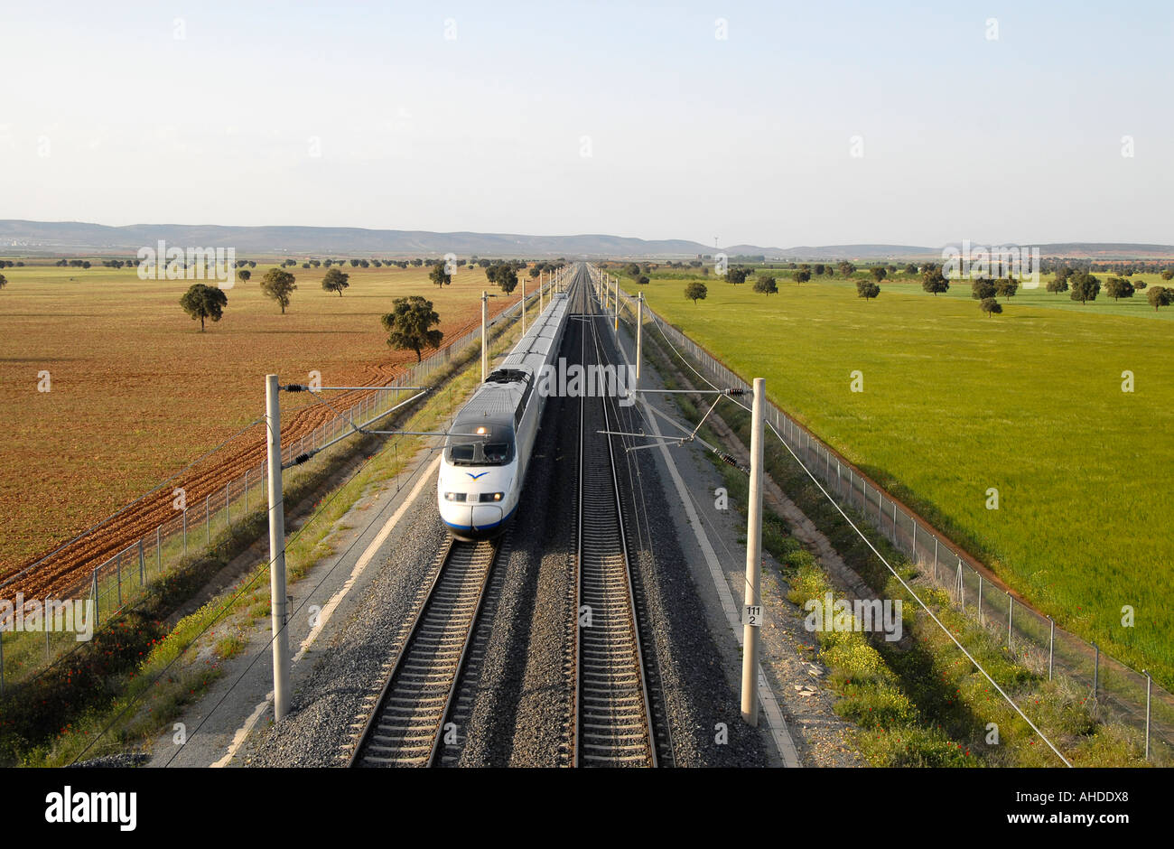 Ave. Spanish high speed train. Spain, renfe Stock Photo - Alamy