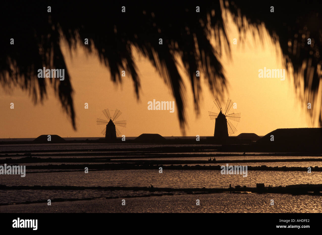 Mothia hi-res stock photography and images - Alamy