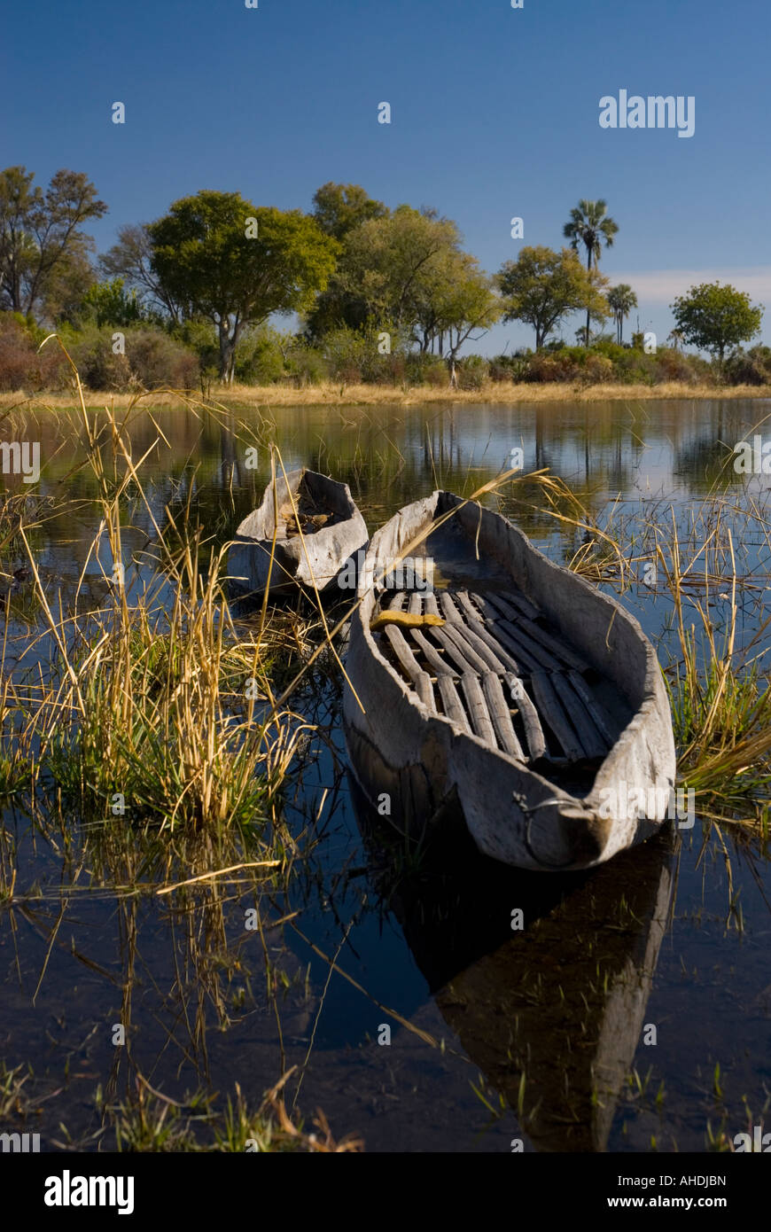 A traditional mokoro canoe at the side of the Boro river in the ...