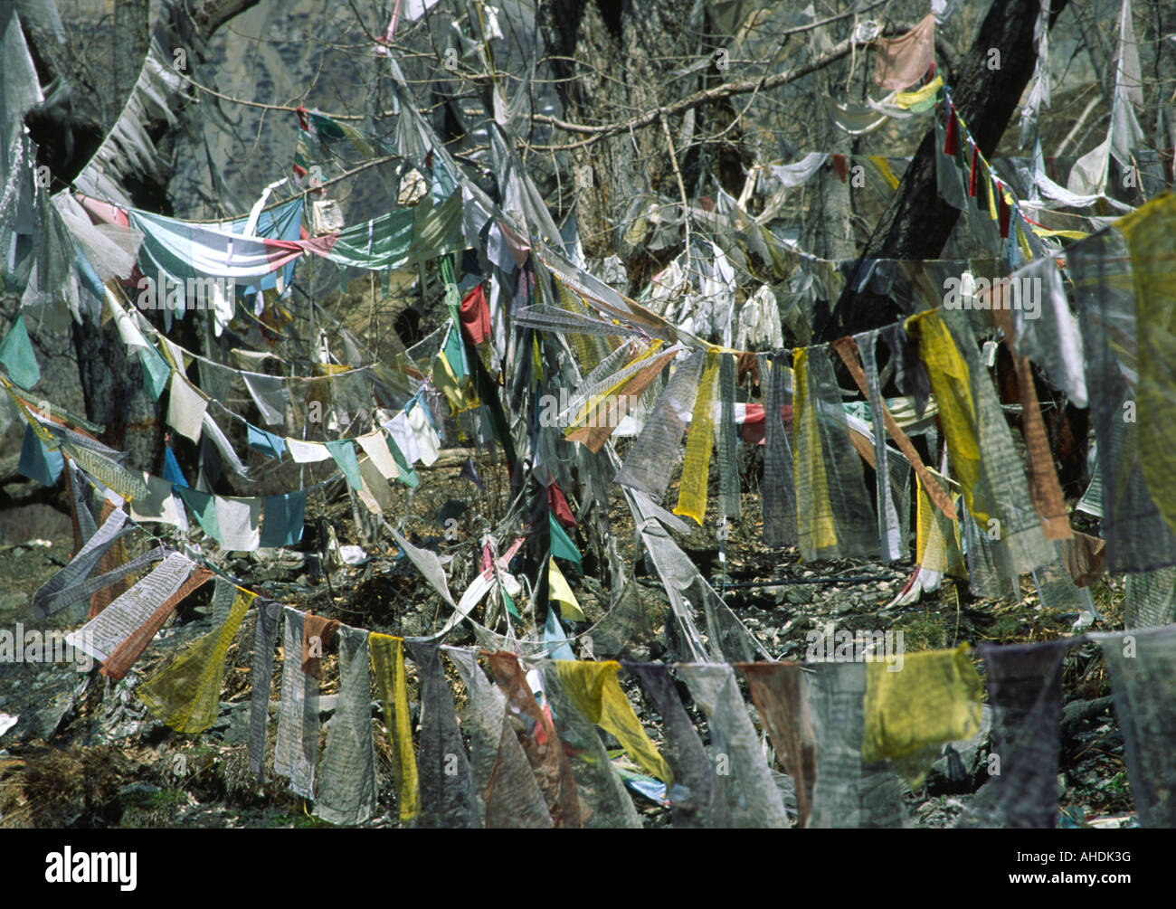 Prayer Flags , Hindu Temple , Muktinath , Nepal Stock Photo - Alamy