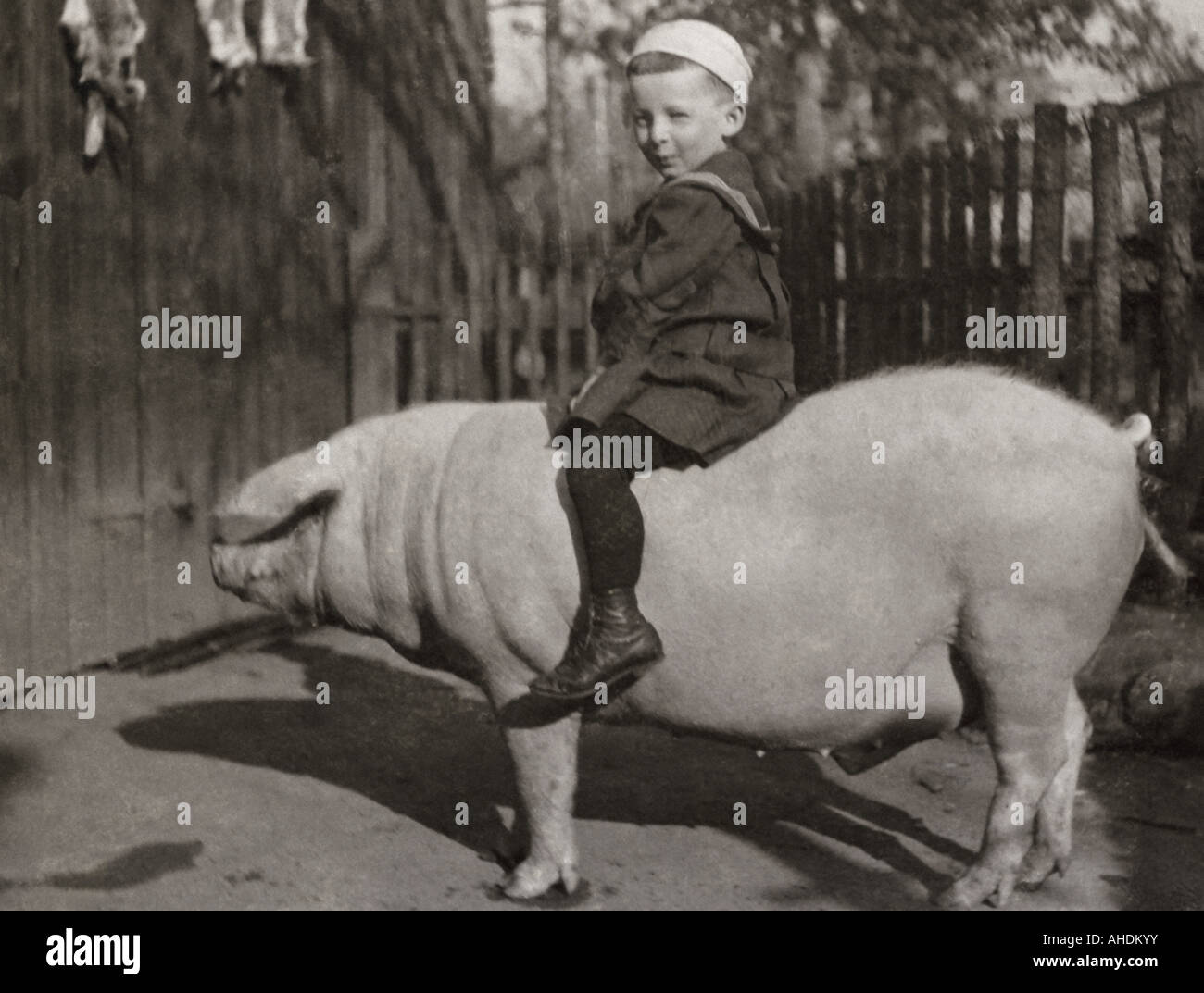 Pig riding hi-res stock photography and images - Alamy