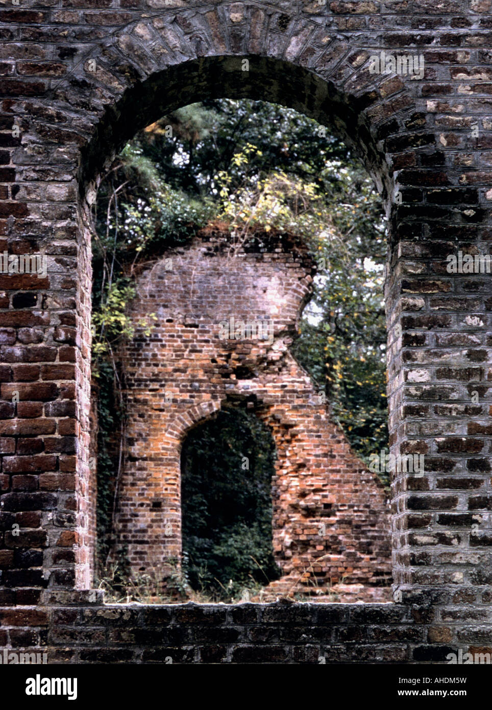 stone window archways archway with shrubbery, bushes, trees, moss ...