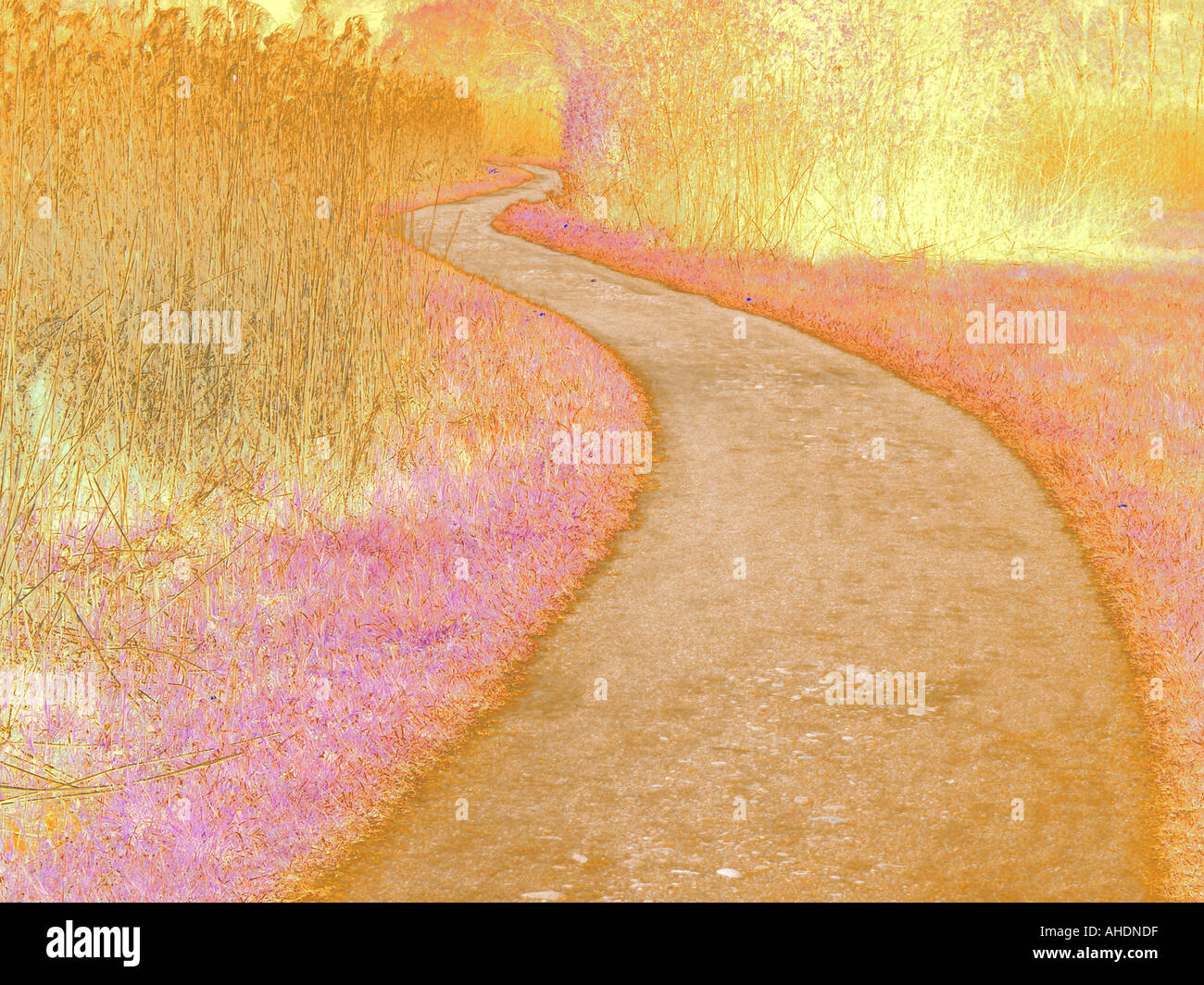 Timeless lane hi-res stock photography and images - Alamy