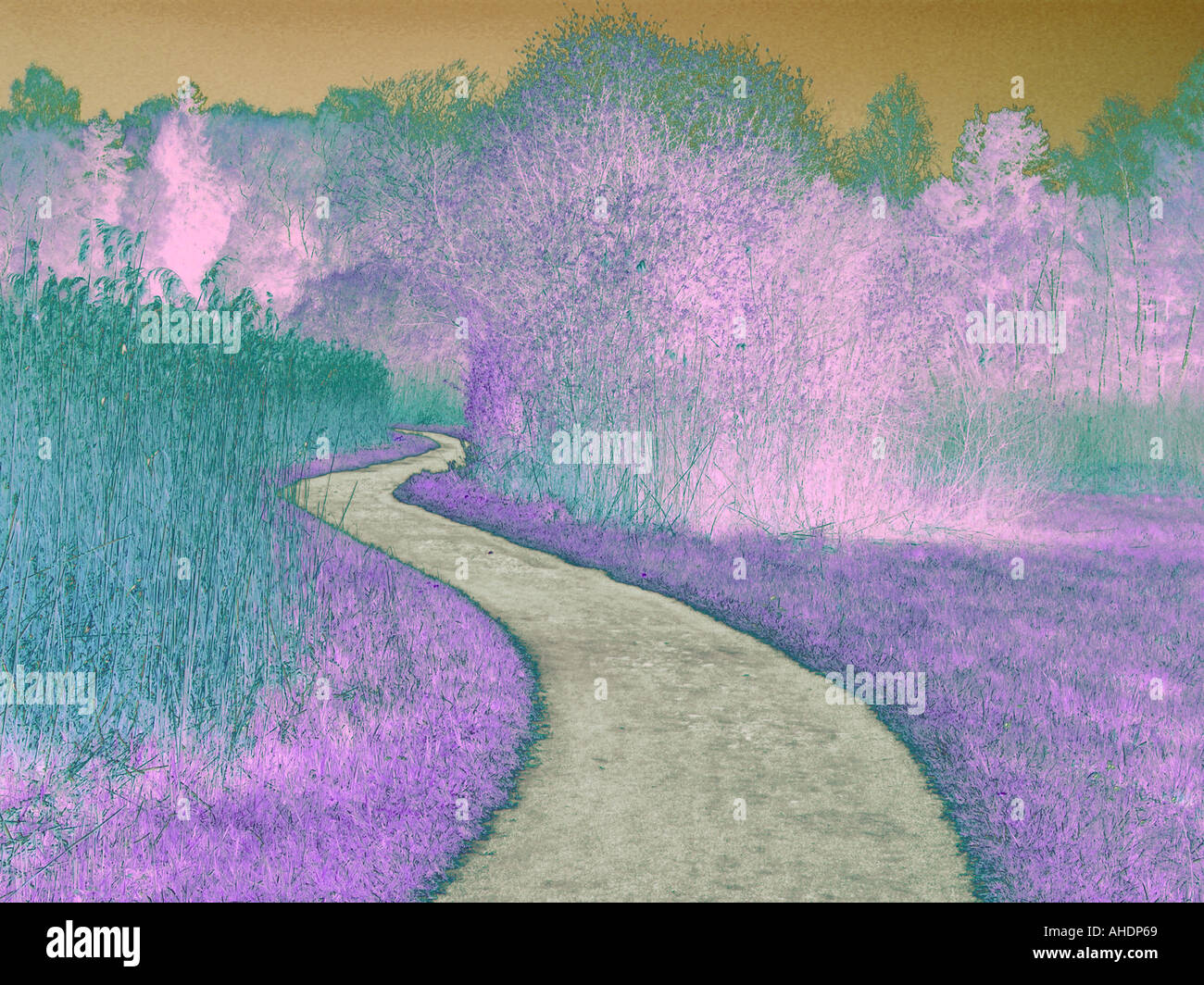 Winding road metaphor hi-res stock photography and images - Alamy