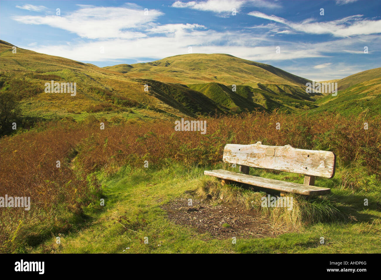 Bench with a view Stock Photo - Alamy