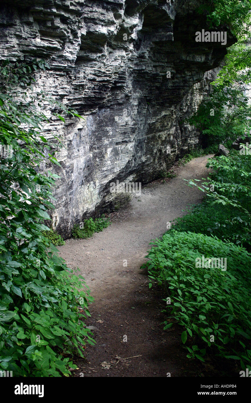 Indian Ladder at John Boyd Thacher Park New York USA Stock Photo - Alamy