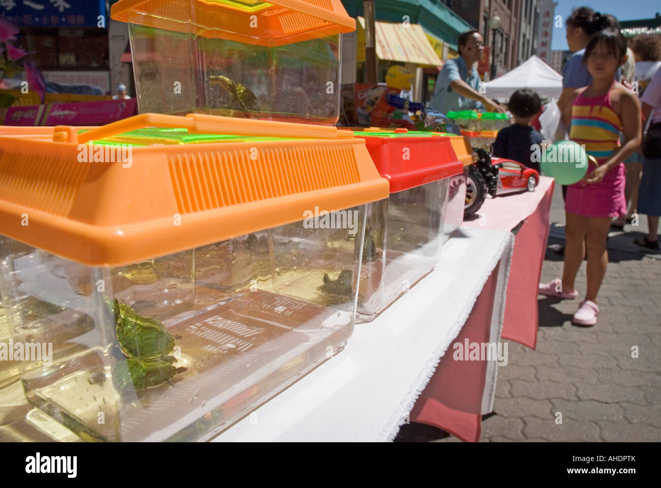 Turtles of new england hi-res stock photography and images - Alamy