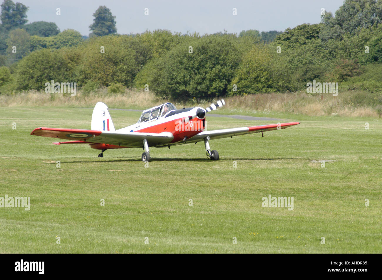 Chipmunk former RAF training plane Stock Photo - Alamy