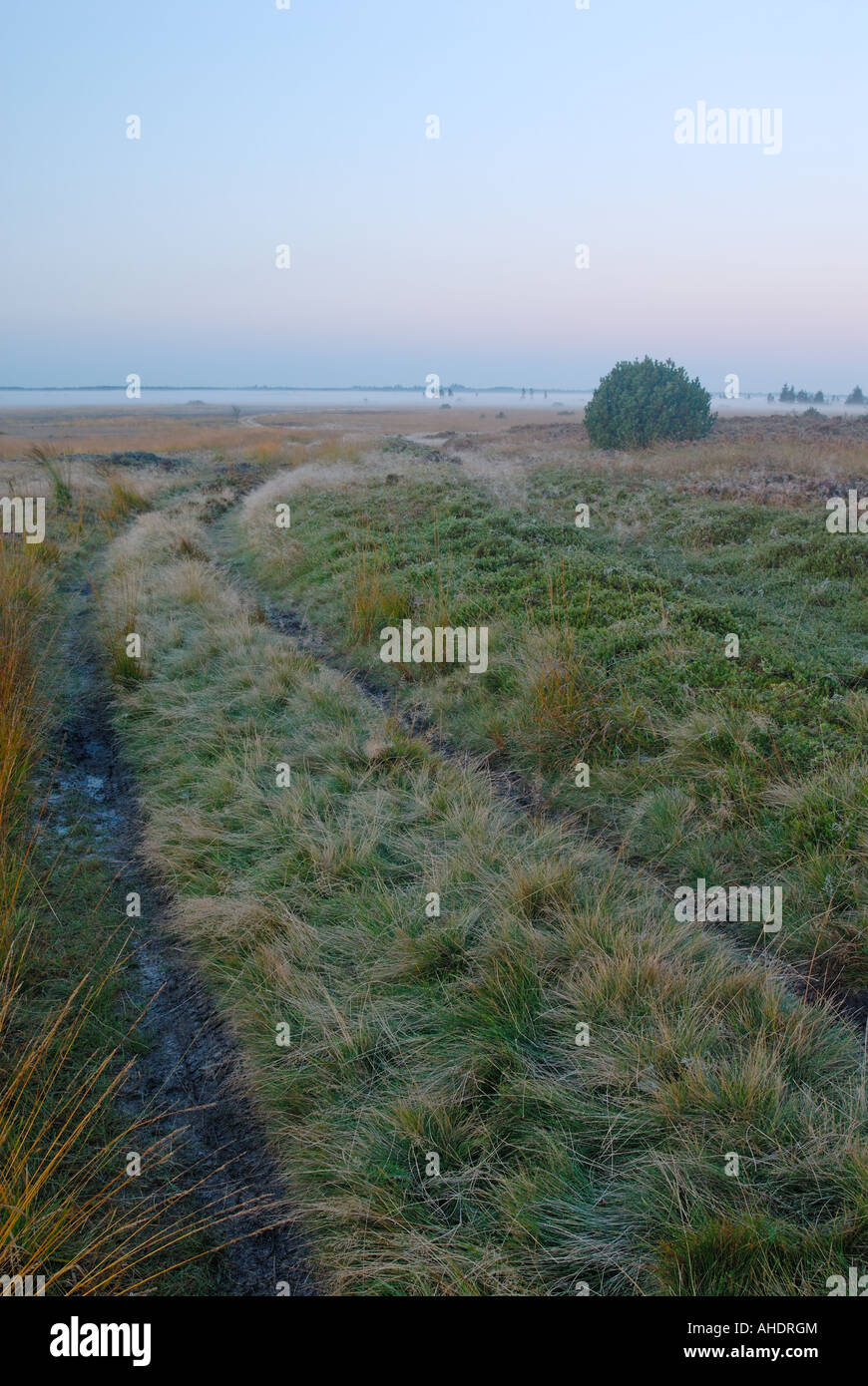 Crossing the heath hi-res stock photography and images - Alamy