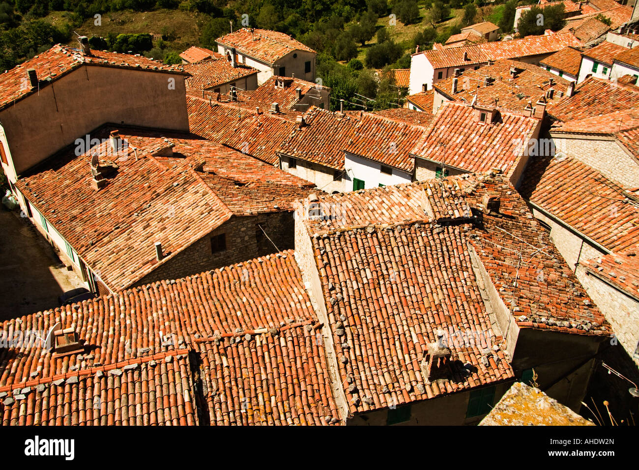 Tiled rooftops in sunshine Roccalbegna Tuscany Italy Stock Photo - Alamy