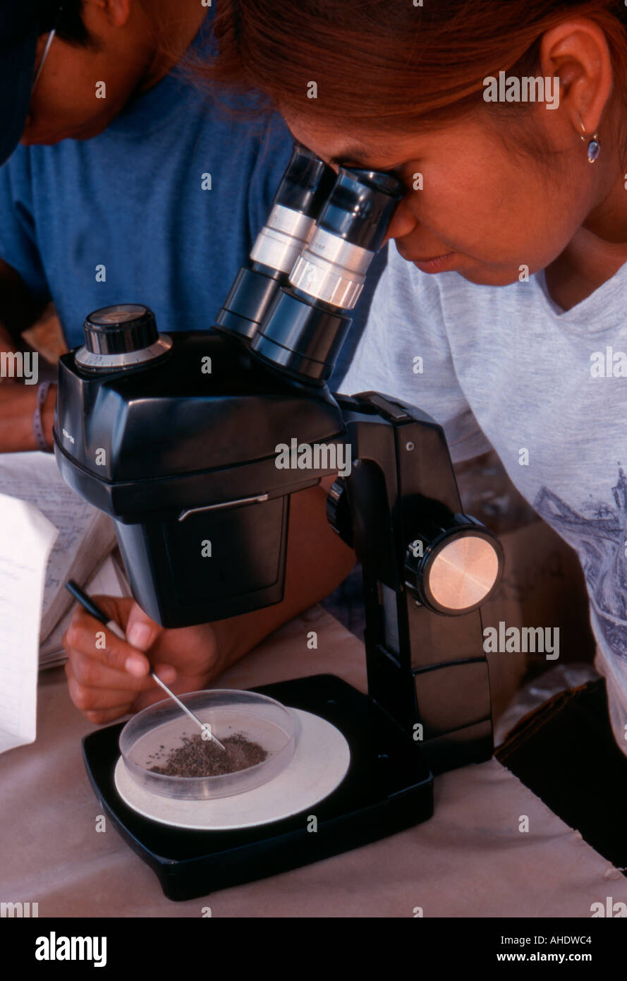 Pollen microscope archaeology hi-res stock photography and images - Alamy