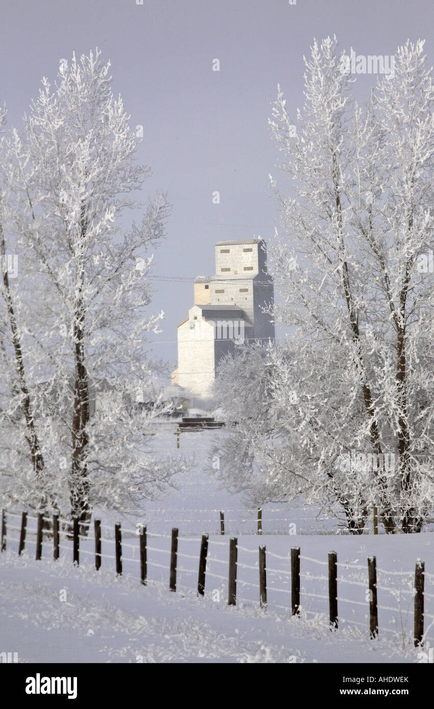Hoar frost refers to the white ice crystals hi-res stock photography ...