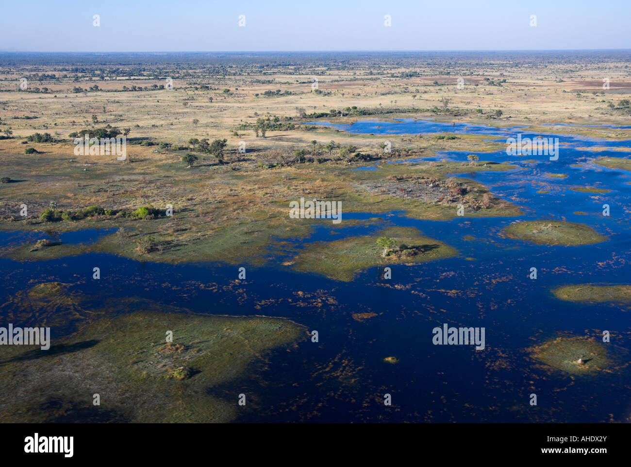 Aerial view of the Okavango Delta wetlands, Botswana Stock Photo - Alamy