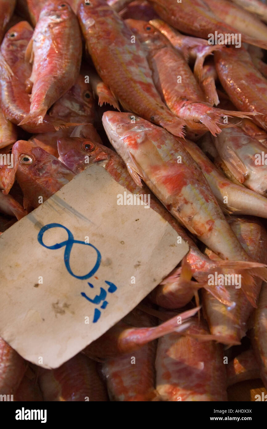 Tripoli, Libya. Fish Market, Rashid Street Stock Photo - Alamy