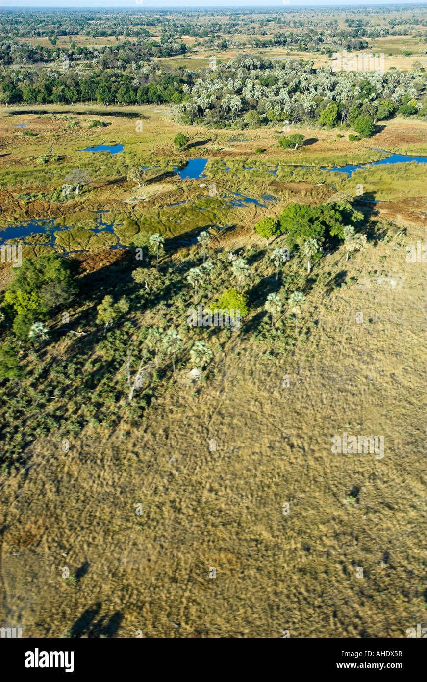 Bush plane okavango hi-res stock photography and images - Alamy