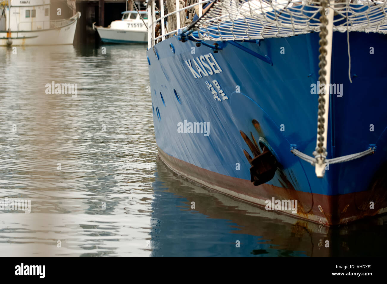 Front view of a ships bow in calm water Stock Photo - Alamy