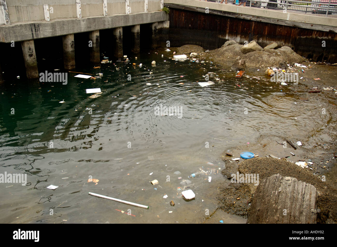 Garbage in water in a populated area Stock Photo - Alamy
