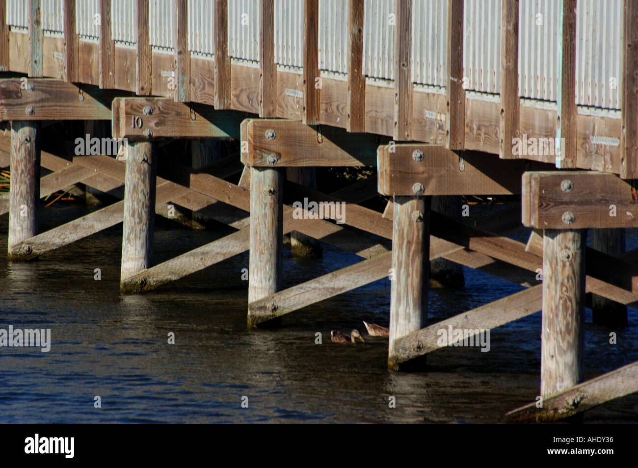Oso Flaco Lake Nature Preserve Stock Photo - Alamy