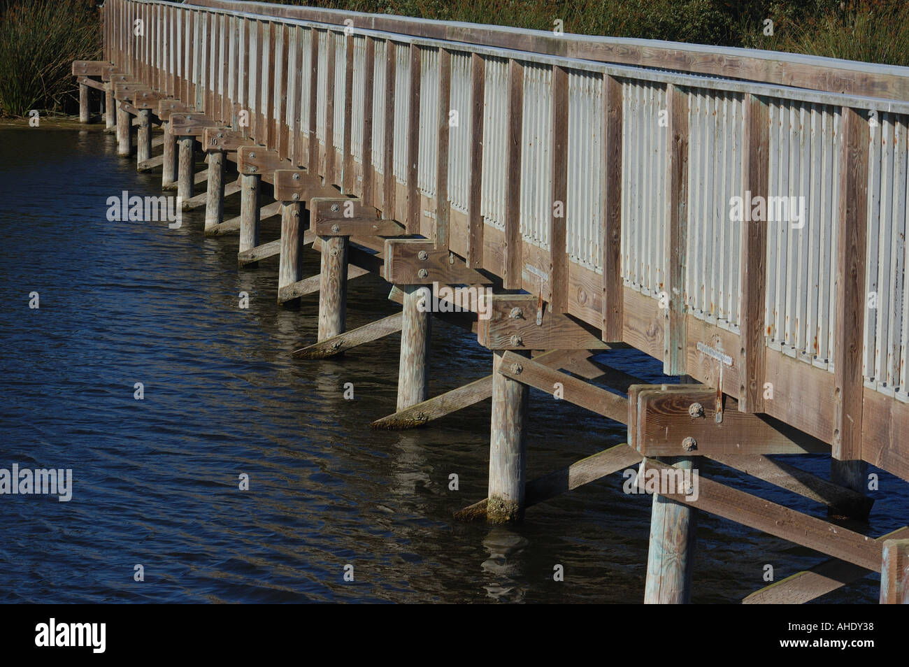 Oso Flaco Lake Nature Preserve Stock Photo - Alamy