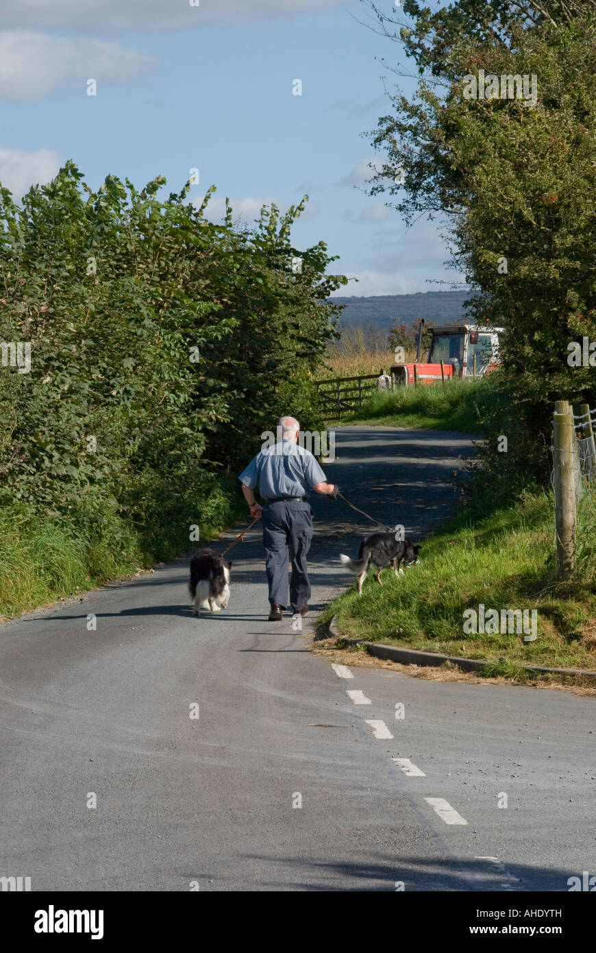 man and dog on country lane Stock Photo - Alamy