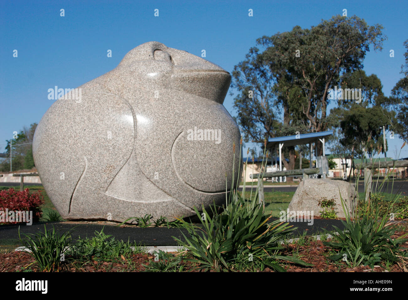 Tiddalik the frog Stock Photo - Alamy