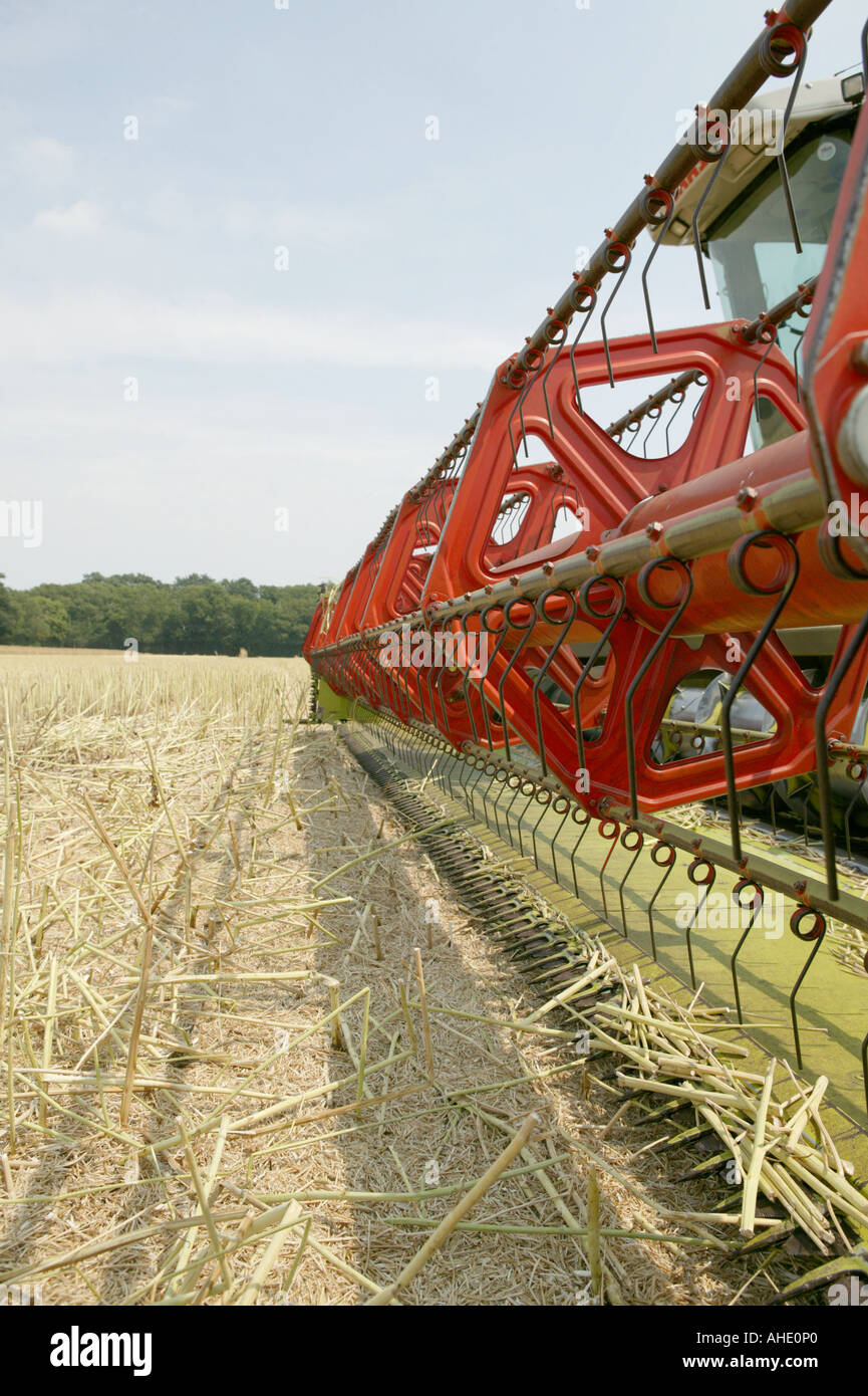 Commercial farming concepts showing detail closeup of agricultural ...