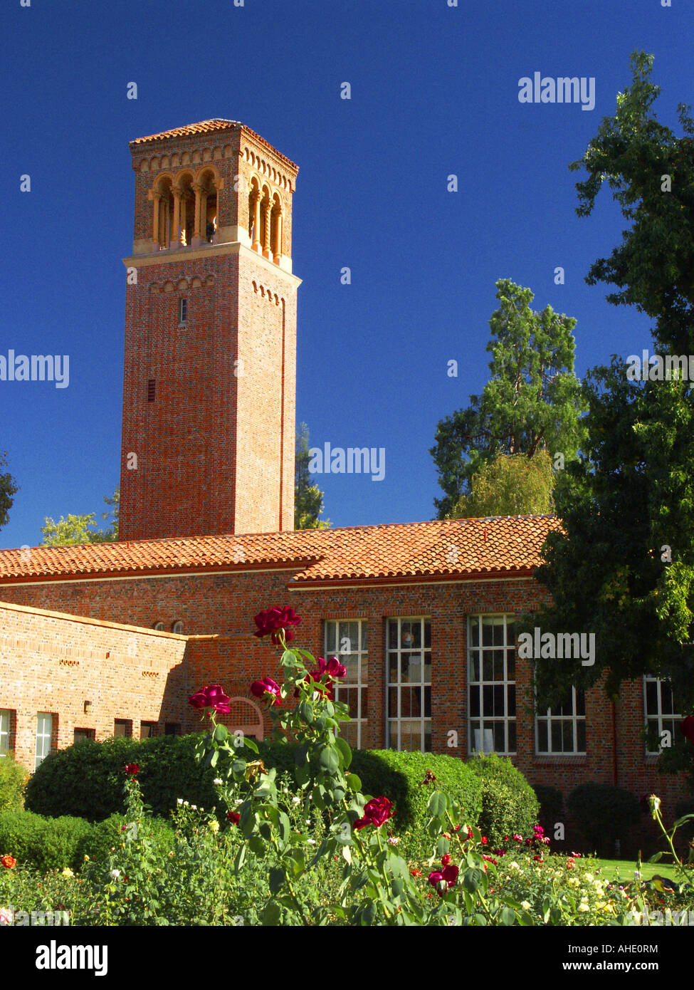 California State University Chico campus in the fall Stock Photo - Alamy