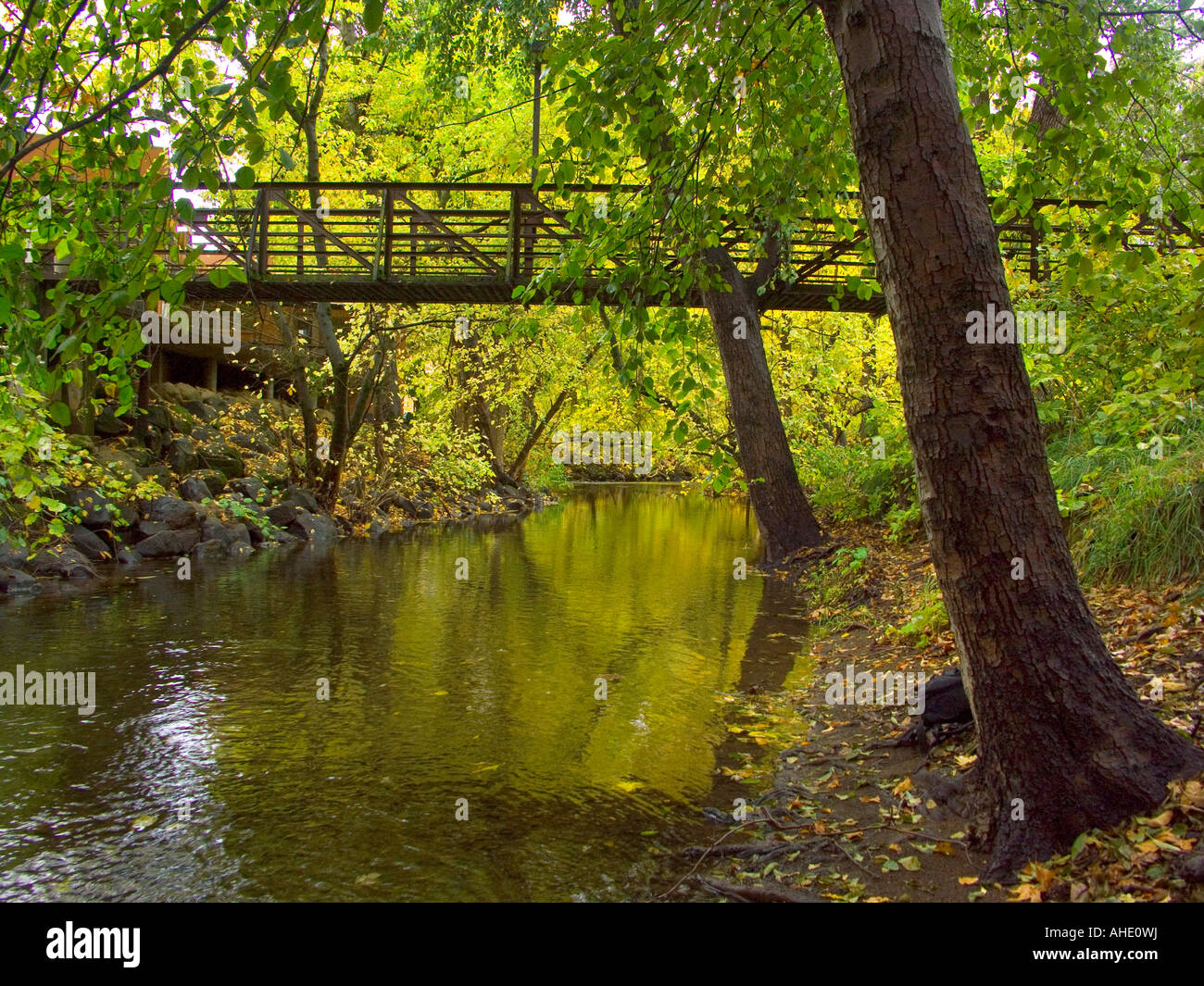 Fall colors at the California State University, Chico campus Stock ...