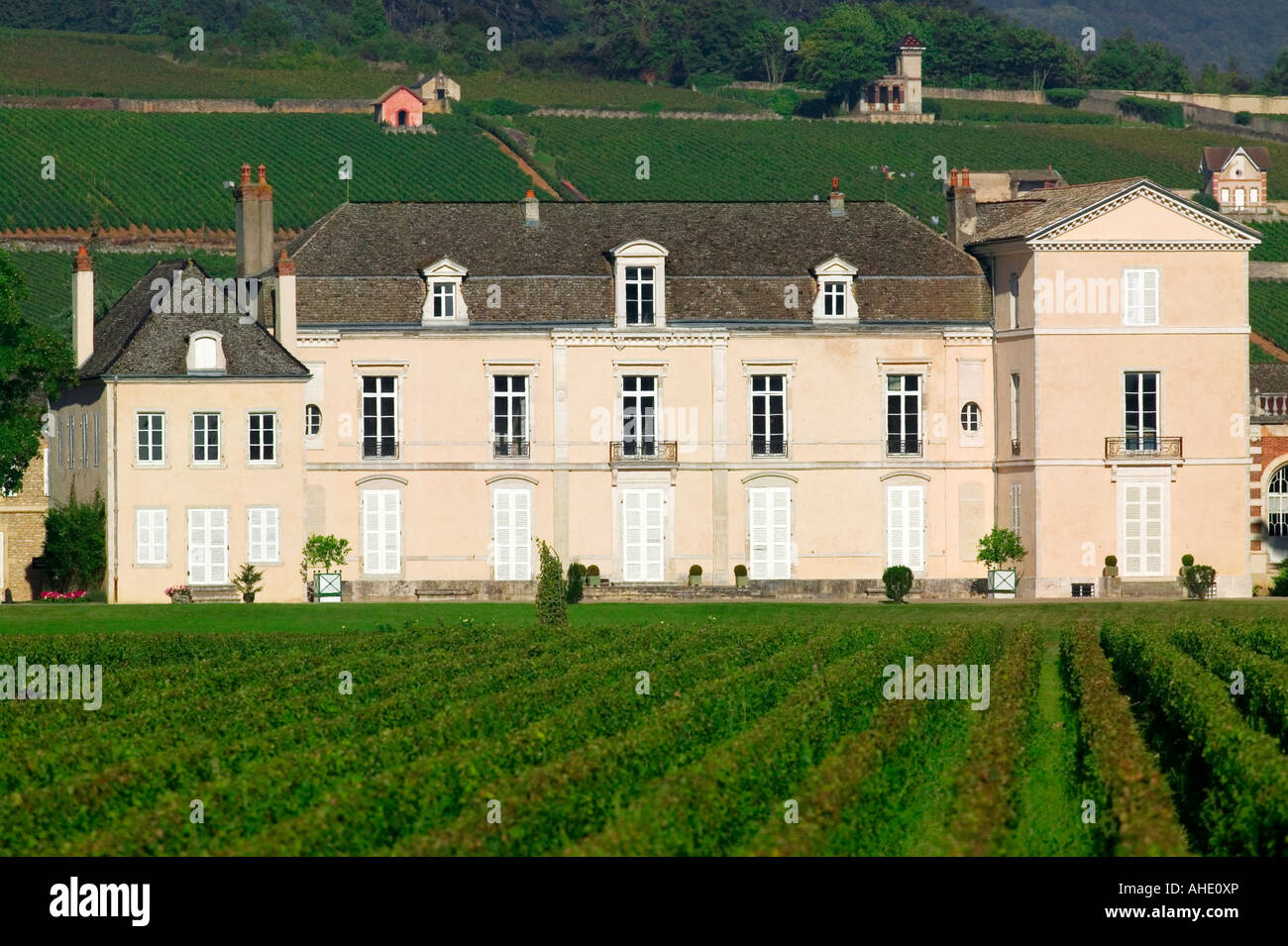VINEYARDS - CASTLE - MEURSAULT - BURGUNDY - FRANCE Stock Photo - Alamy