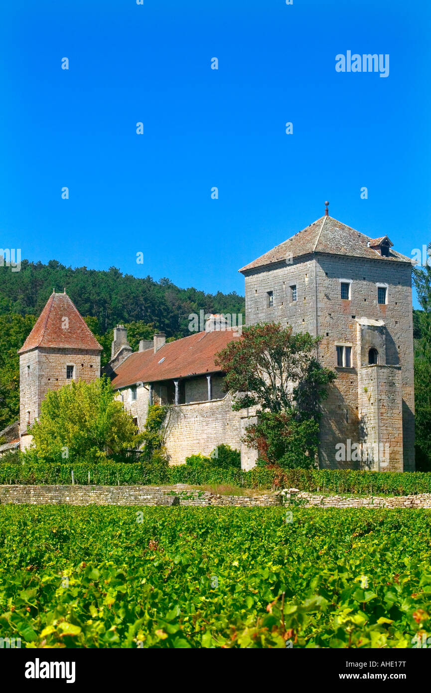 VINEYARDS - GEVRAY CHAMBERTIN CASTLE - BURGUNDY - FRANCE Stock Photo ...