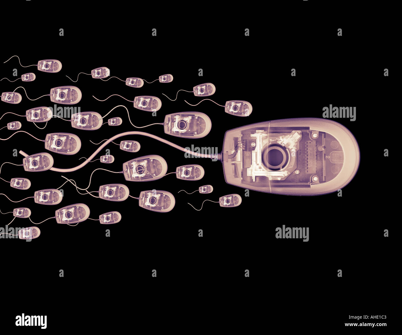 Children size difference hi-res stock photography and images - Alamy
