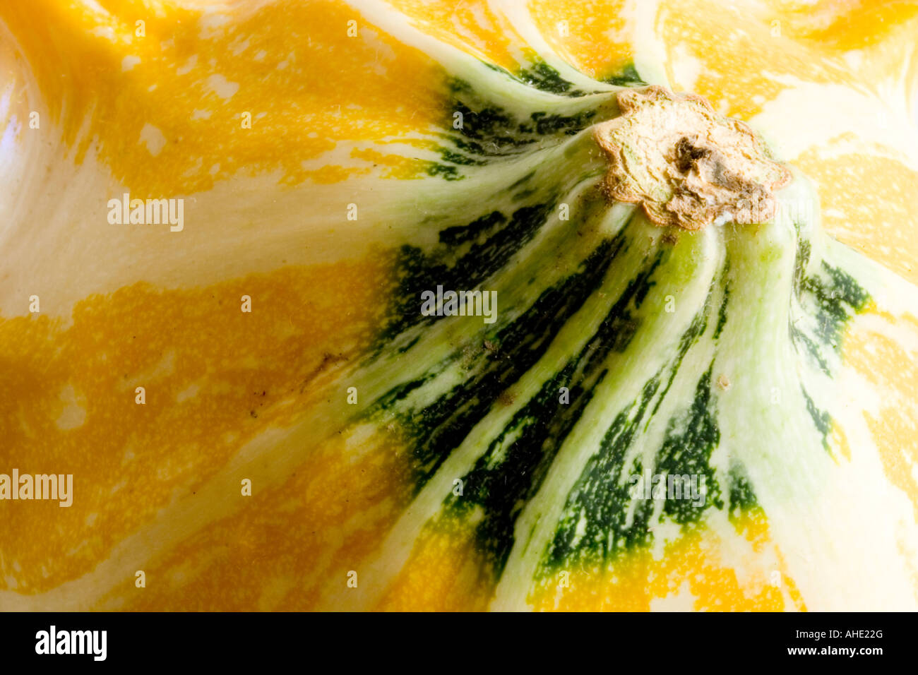 Marrow cooking diet vitamin pumpkin hi-res stock photography and images ...