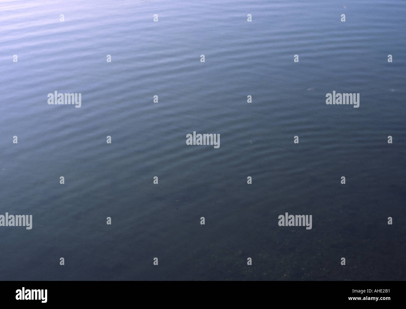 UK Hampshire Langstone Harbour Still Pool Stock Photo - Alamy