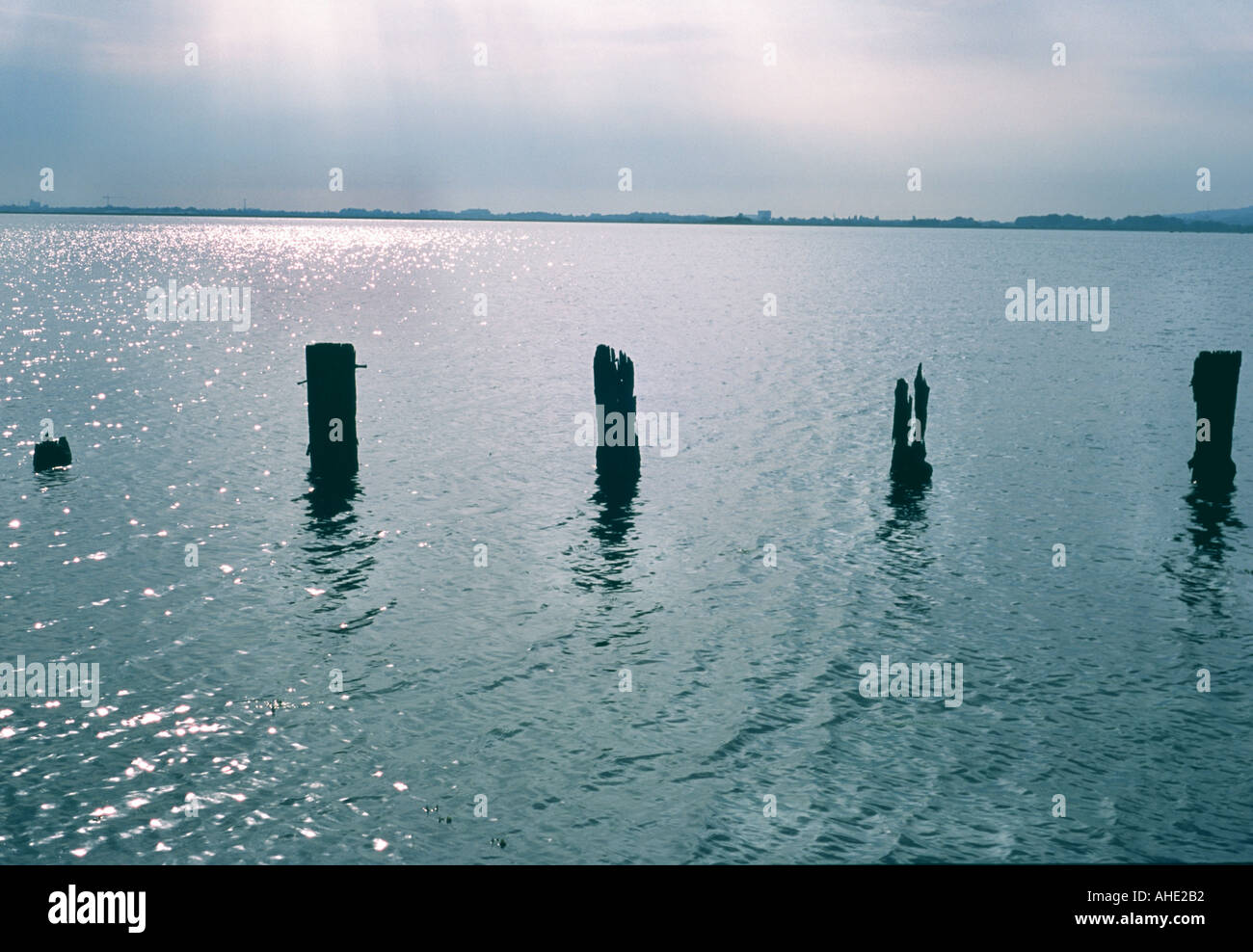 Wooden posts emerge hi-res stock photography and images - Alamy