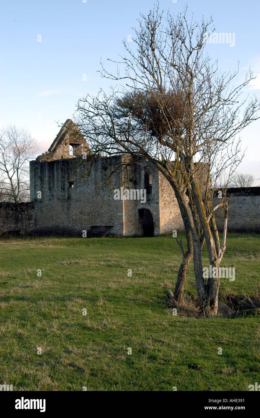Godstow nunnery hi-res stock photography and images - Alamy